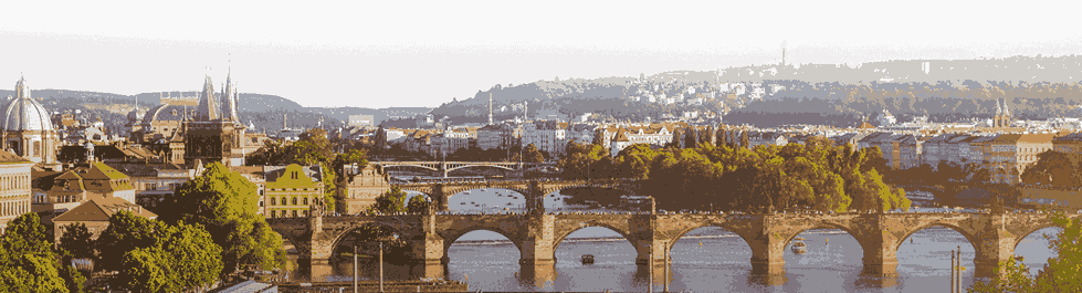 Contact Us - Go Real Travel